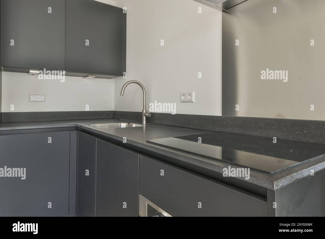 A sleek modern kitchen interior featuring dark cabinetry, stainless ...