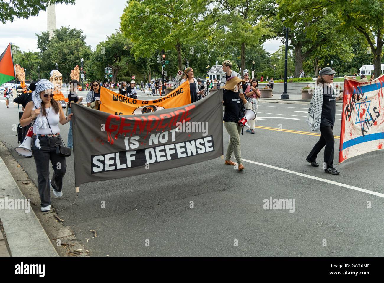 Washington DC, USA - 08/19/2024: A group of people are marching down ...