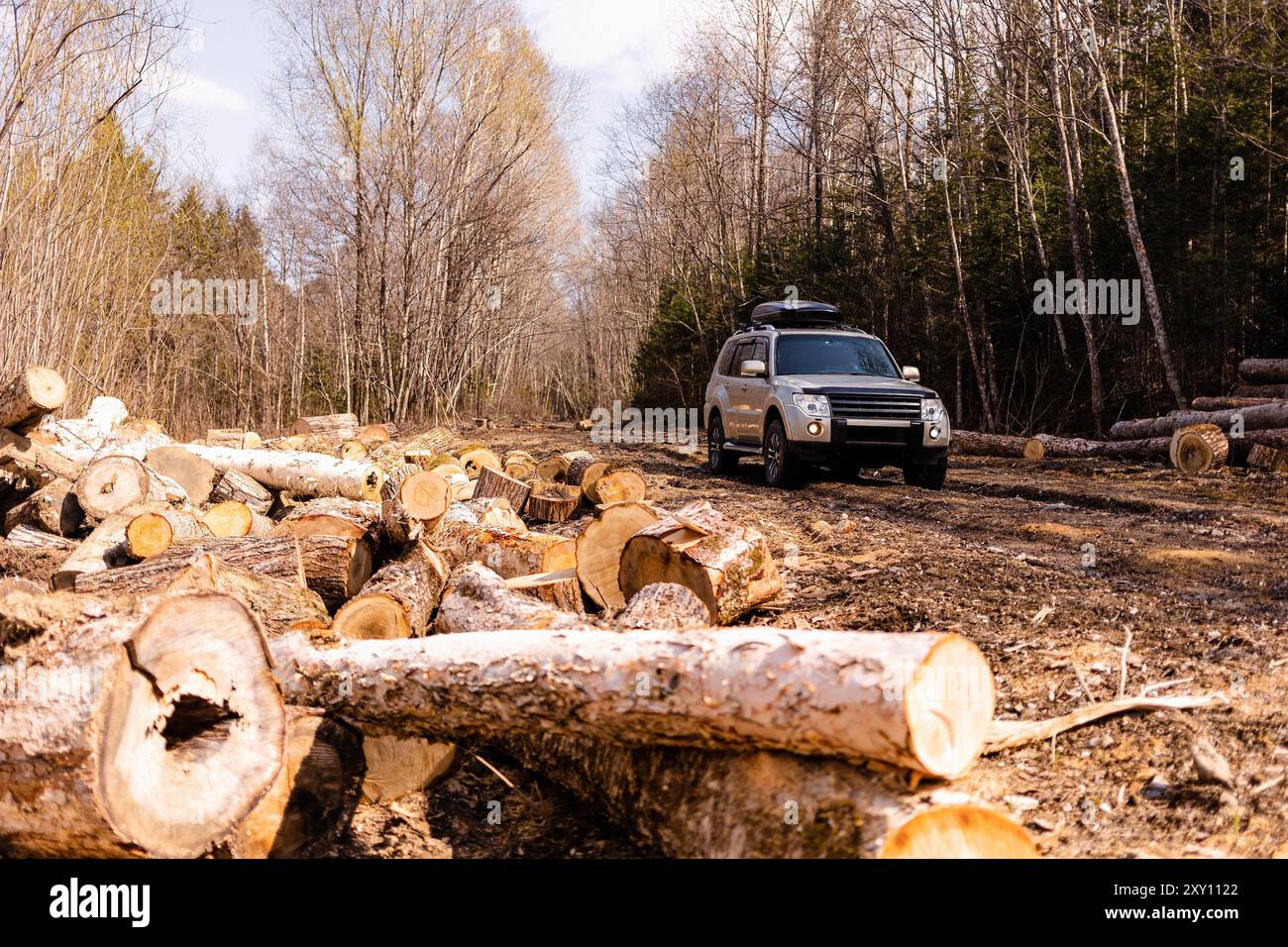Logging road in scenic hi-res stock photography and images - Alamy