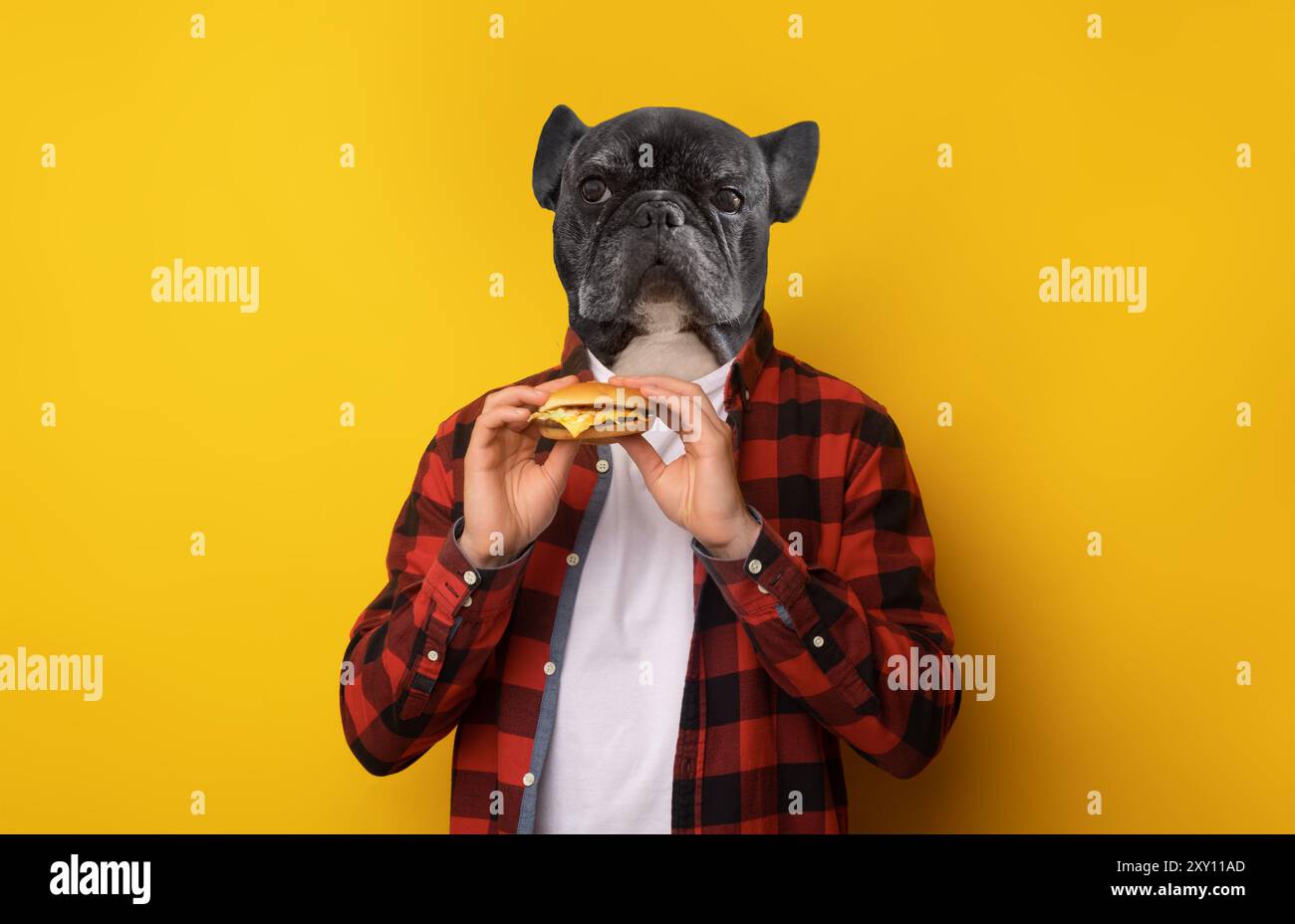 Person in Flannel Shirt Holding Cheeseburger With a Dog's Head Stock ...