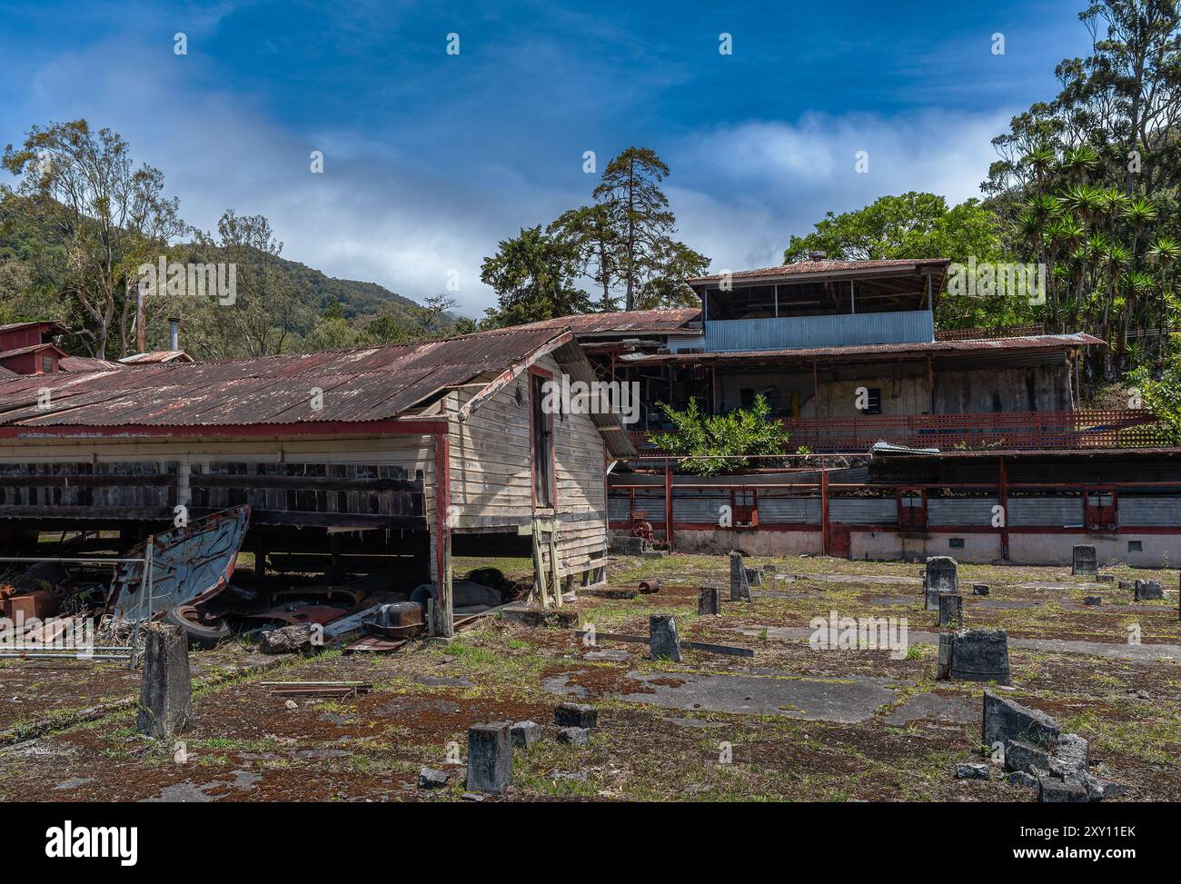 The ruins of the Princesa Janca coffee factory in Boquete, Panama Stock ...