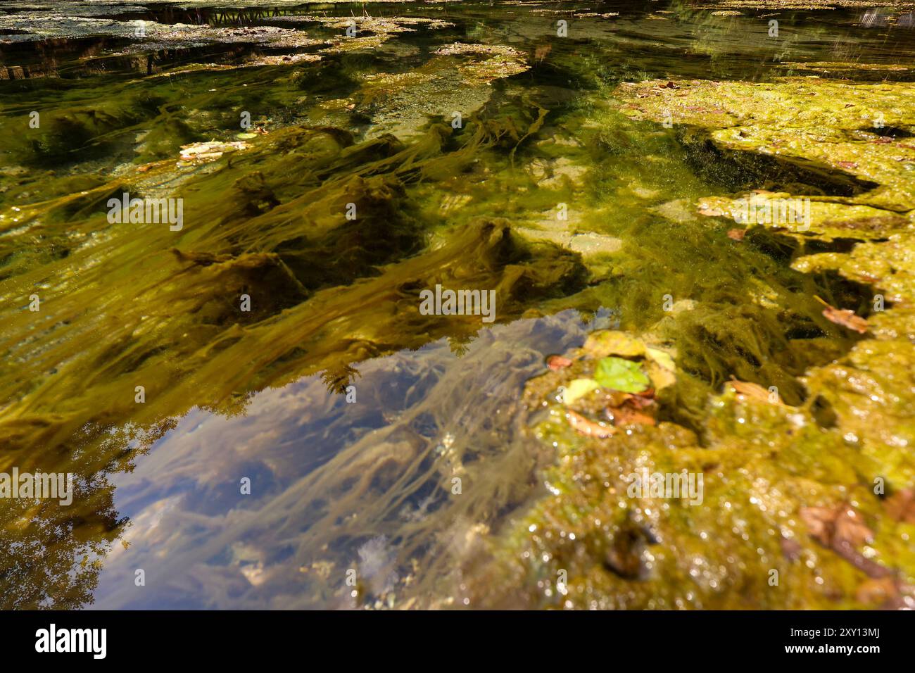 The source of the river Bosna has almost completely dried up due to the ...