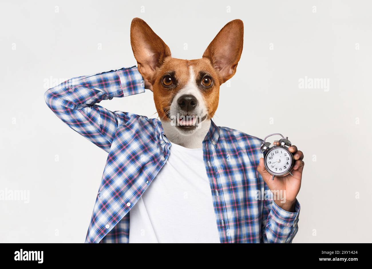 Cute dog alarm clock hi-res stock photography and images - Alamy