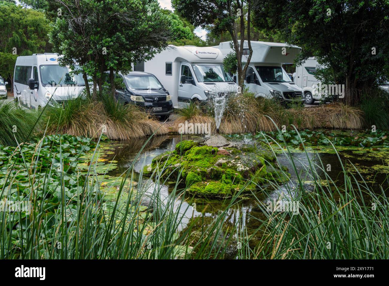 Bay of plenty new zealand camp hi-res stock photography and images - Alamy
