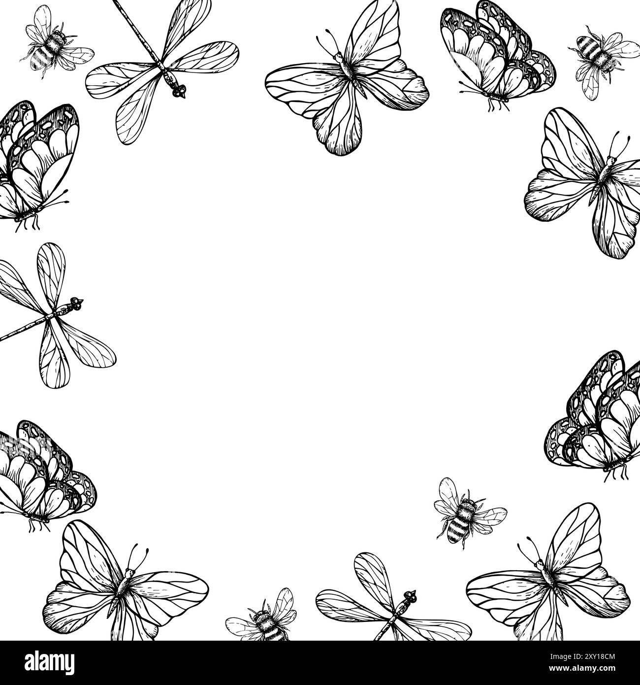 Vector frame, postcard with dragonfly, butterflies and bumblebee. Hand ...