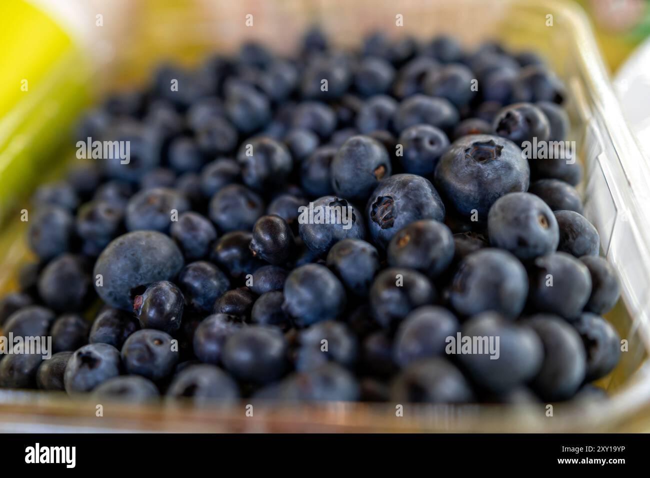 A vibrant collection of fresh blueberries fills a clear container ...