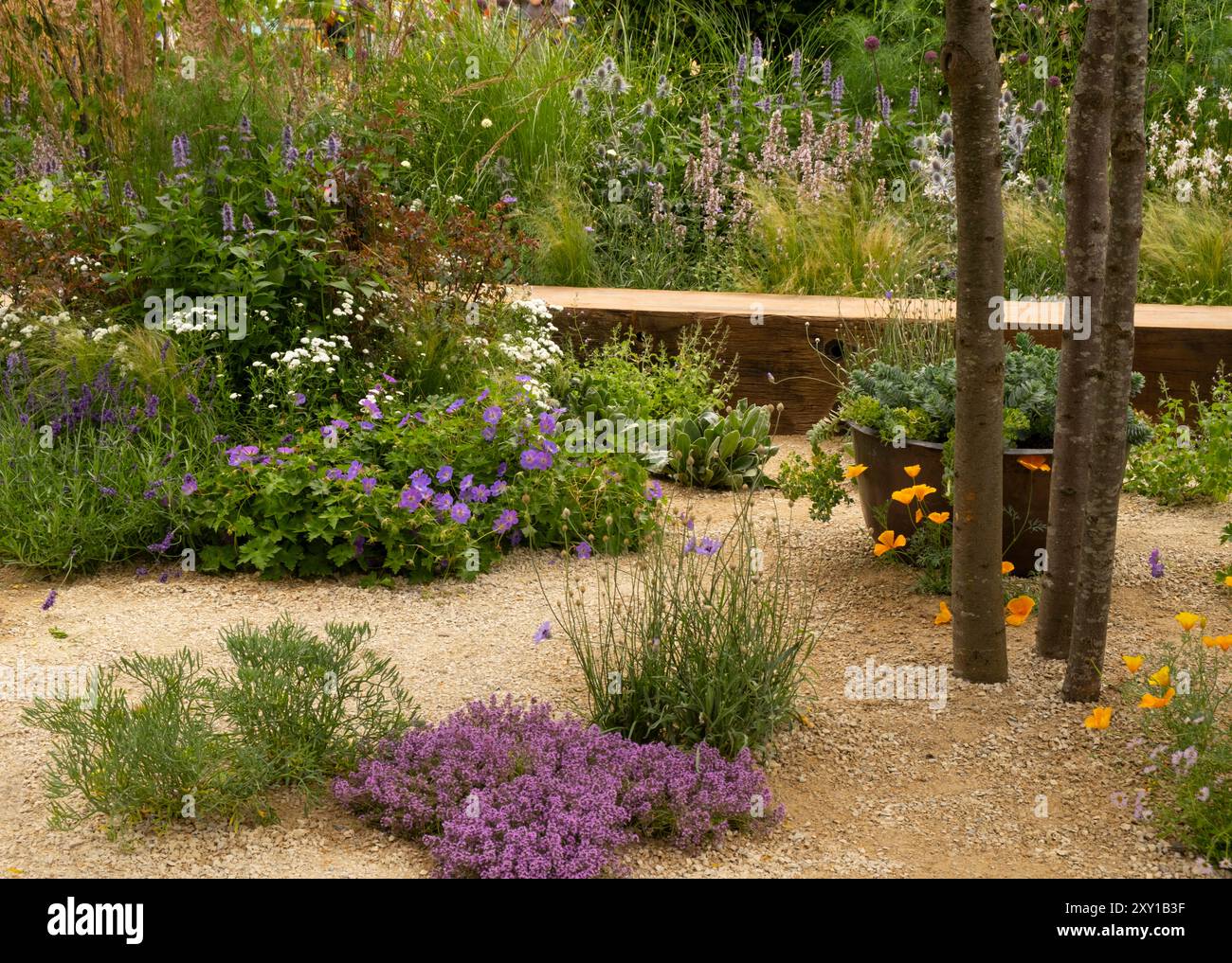 A timber walkway surrounded by drought tolerant perennials in a gravel ...