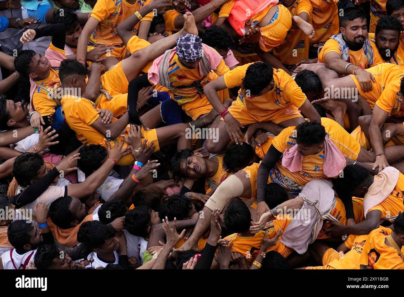 Revelers fall form human pyramids to reach an overhanging earthen pot ...