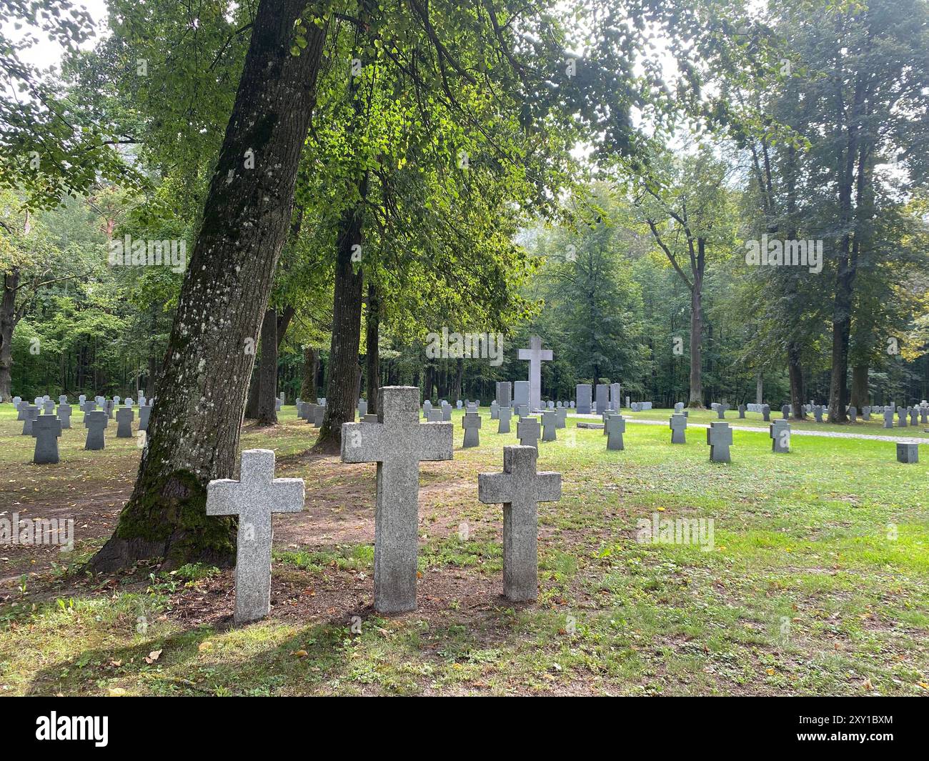 27 August 2024, Lithuania, Kaunas: German war cemetery at a collective ...
