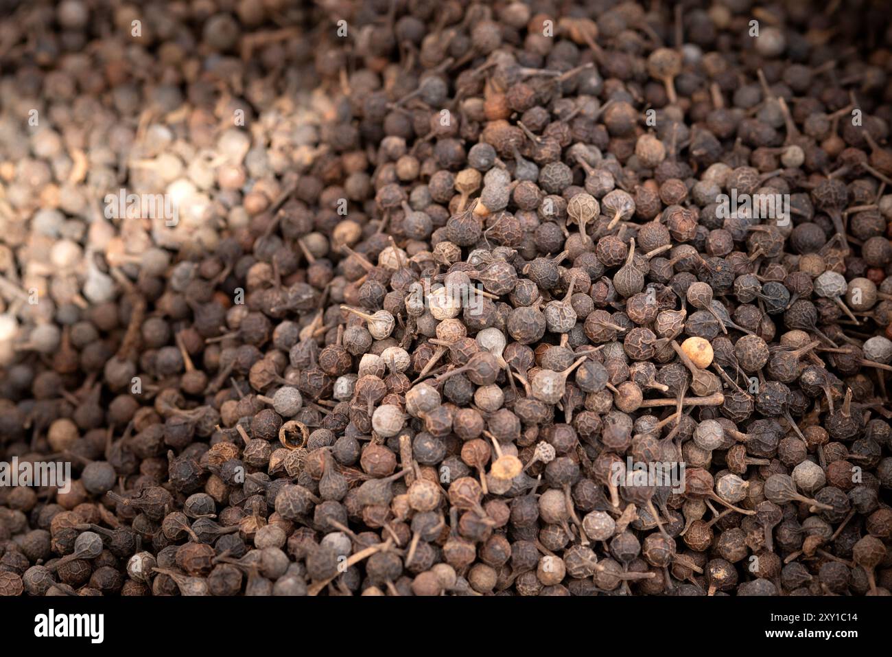 Cubeb Pepper, Tailed Pepper, Piper Cubeba Stock Photo - Alamy