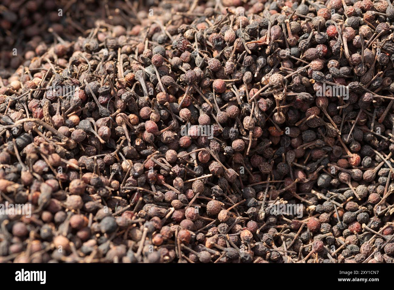 Madagascar Wild Pepper Voatsiperifery Stock Photo - Alamy