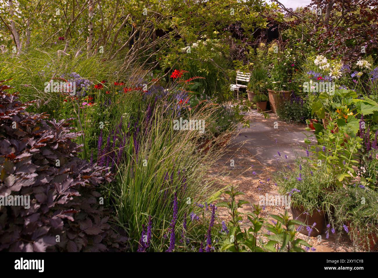 Grasses gravel garden hi-res stock photography and images - Alamy