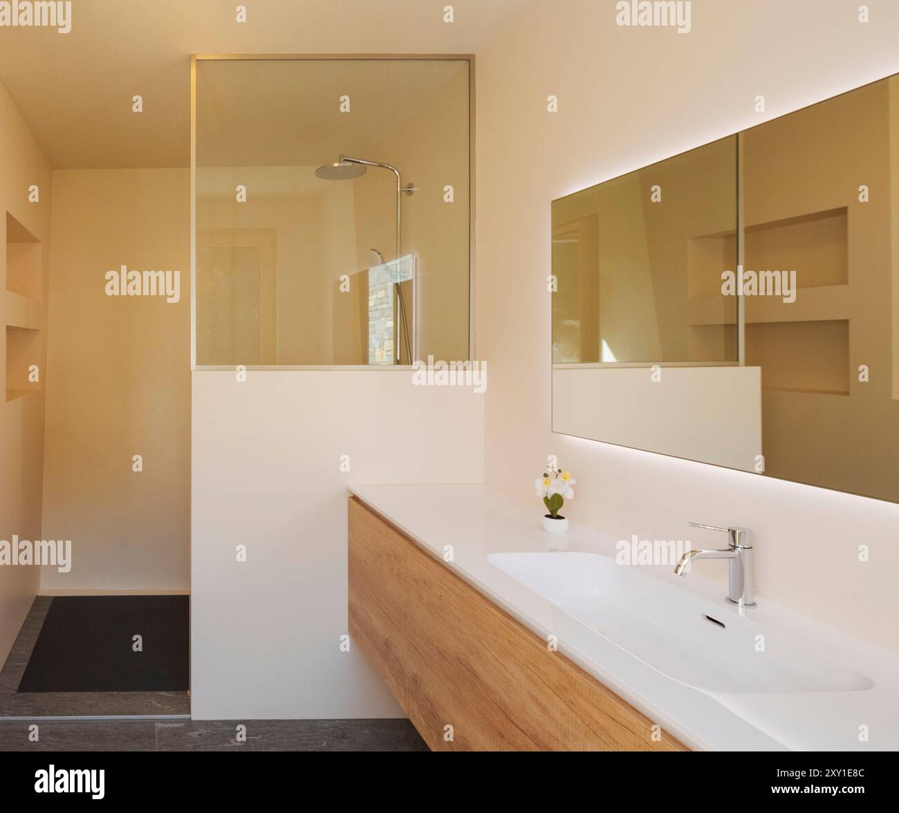 Front view of a modern bathroom with a wooden cabinet with a sink and a ...