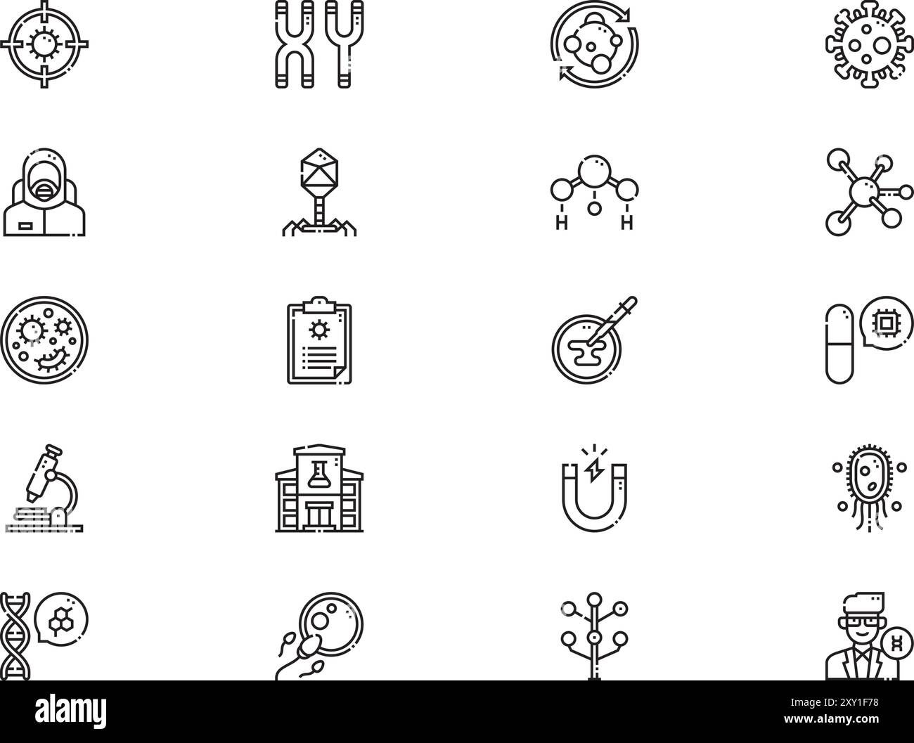Metabolism vector vectors Stock Vector Images - Alamy