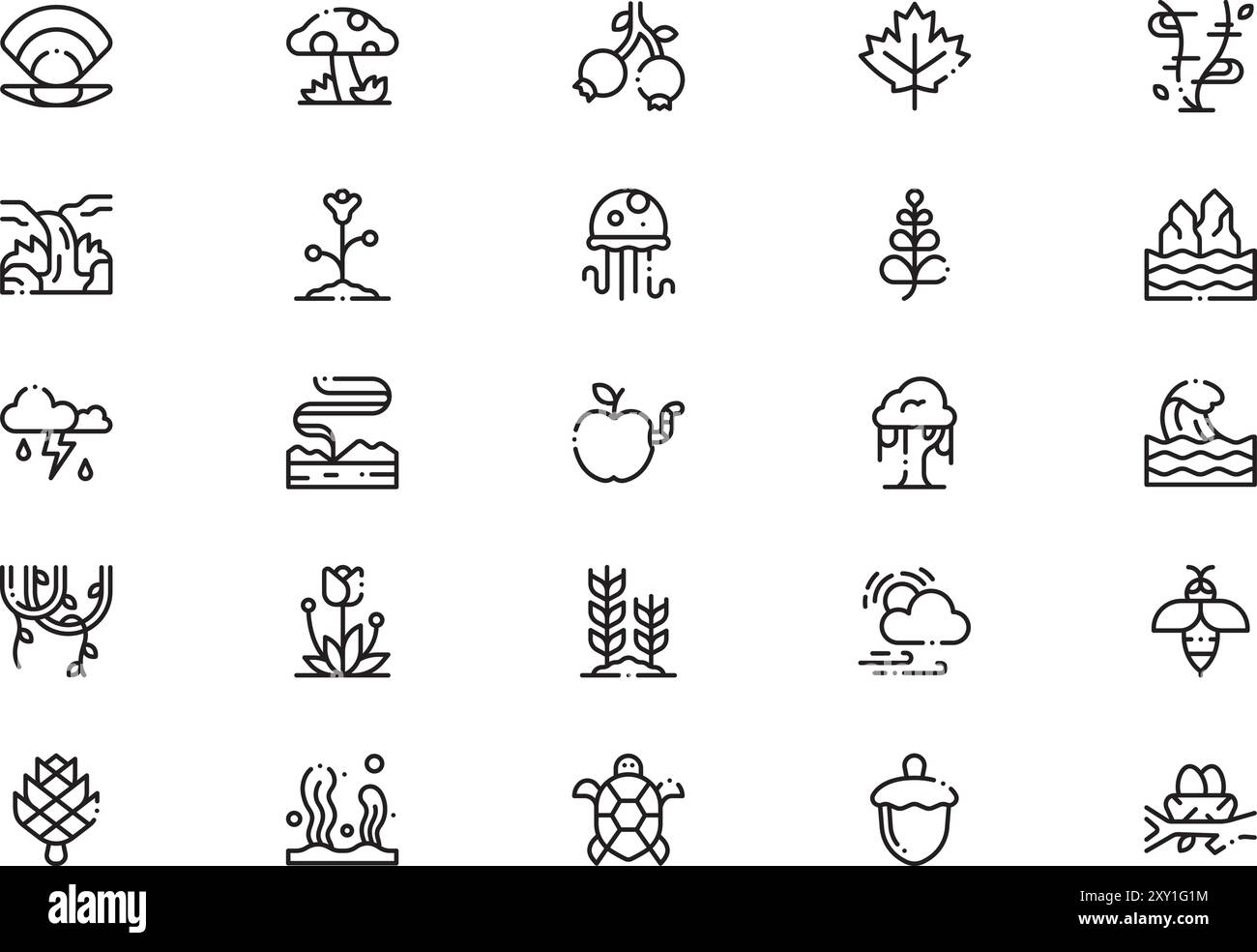 Clam mushroom Stock Vector Images - Alamy