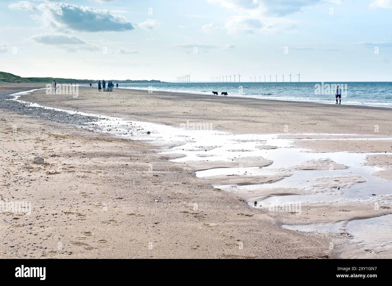 Sand, stones and shingle patterns, and water pools left by the receding ...