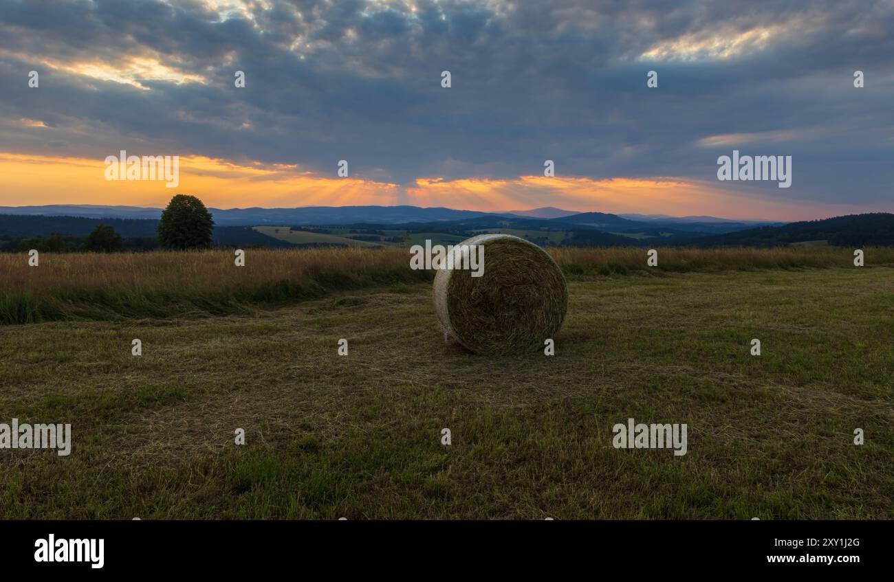 Grass bale on meadow with tree and valley. Czech agriculture landscape ...