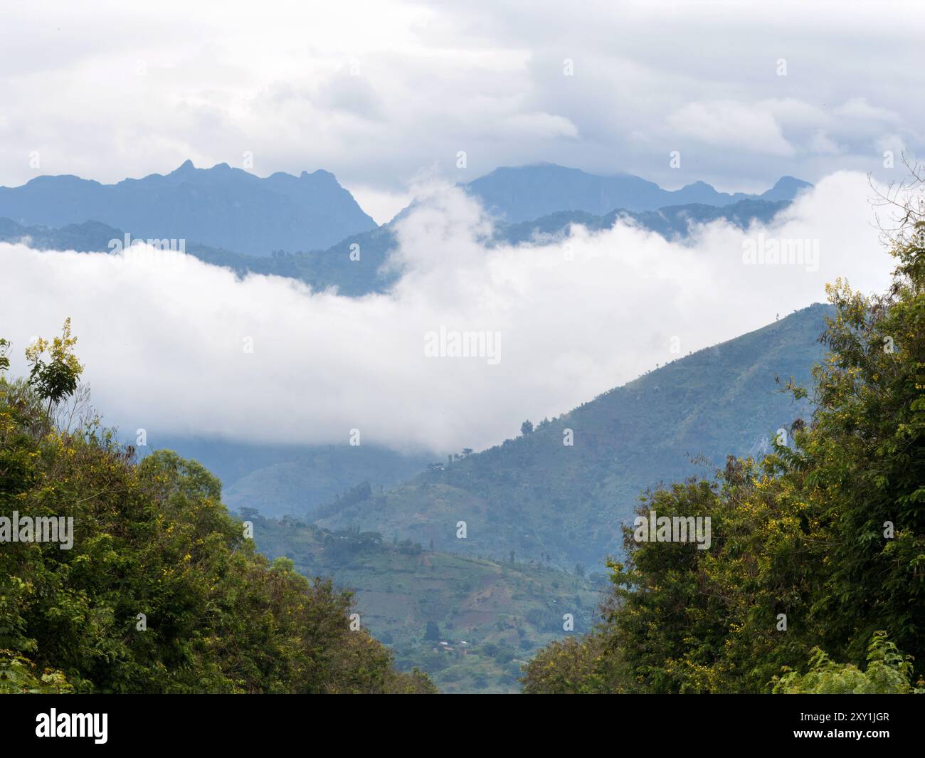 Landscape view from Bigodi Wetland Sanctuary, Magombe Swamp, western ...
