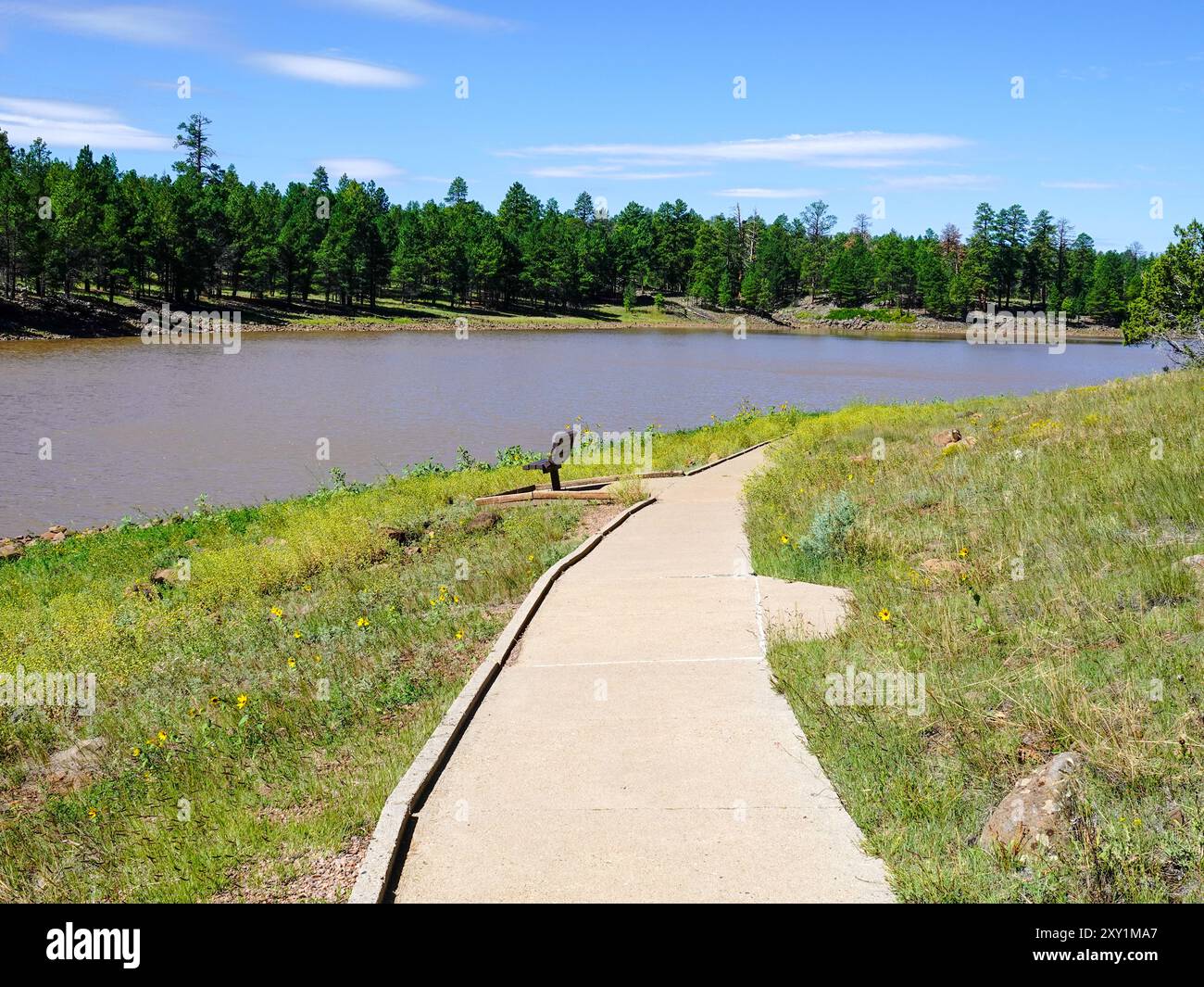 Park bench along path, lakeside at Upper Lake Mary, surrounded by tall ...