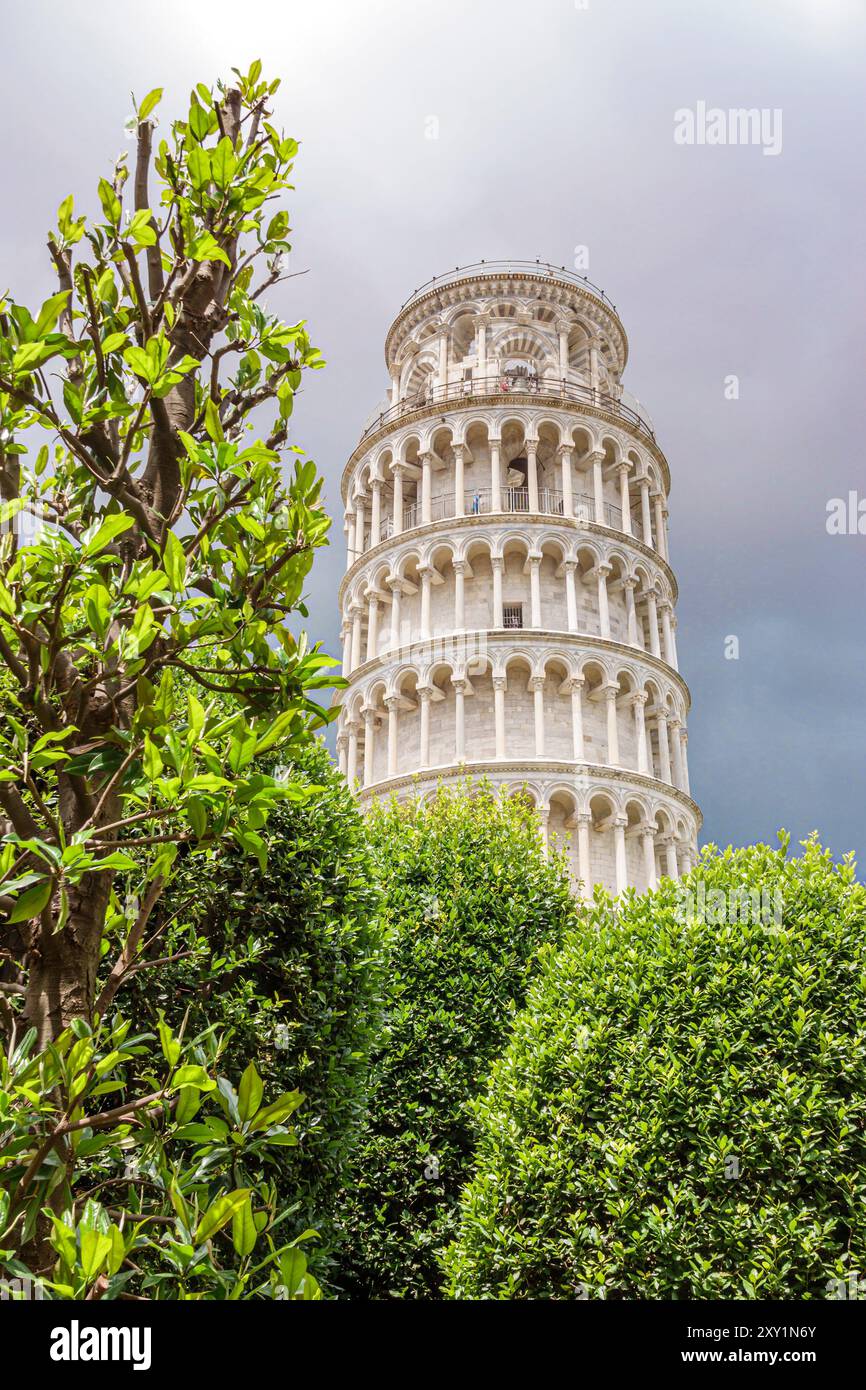 Pisa Italy,Museo dell'Opera del Duomo,museum of collected works of ...