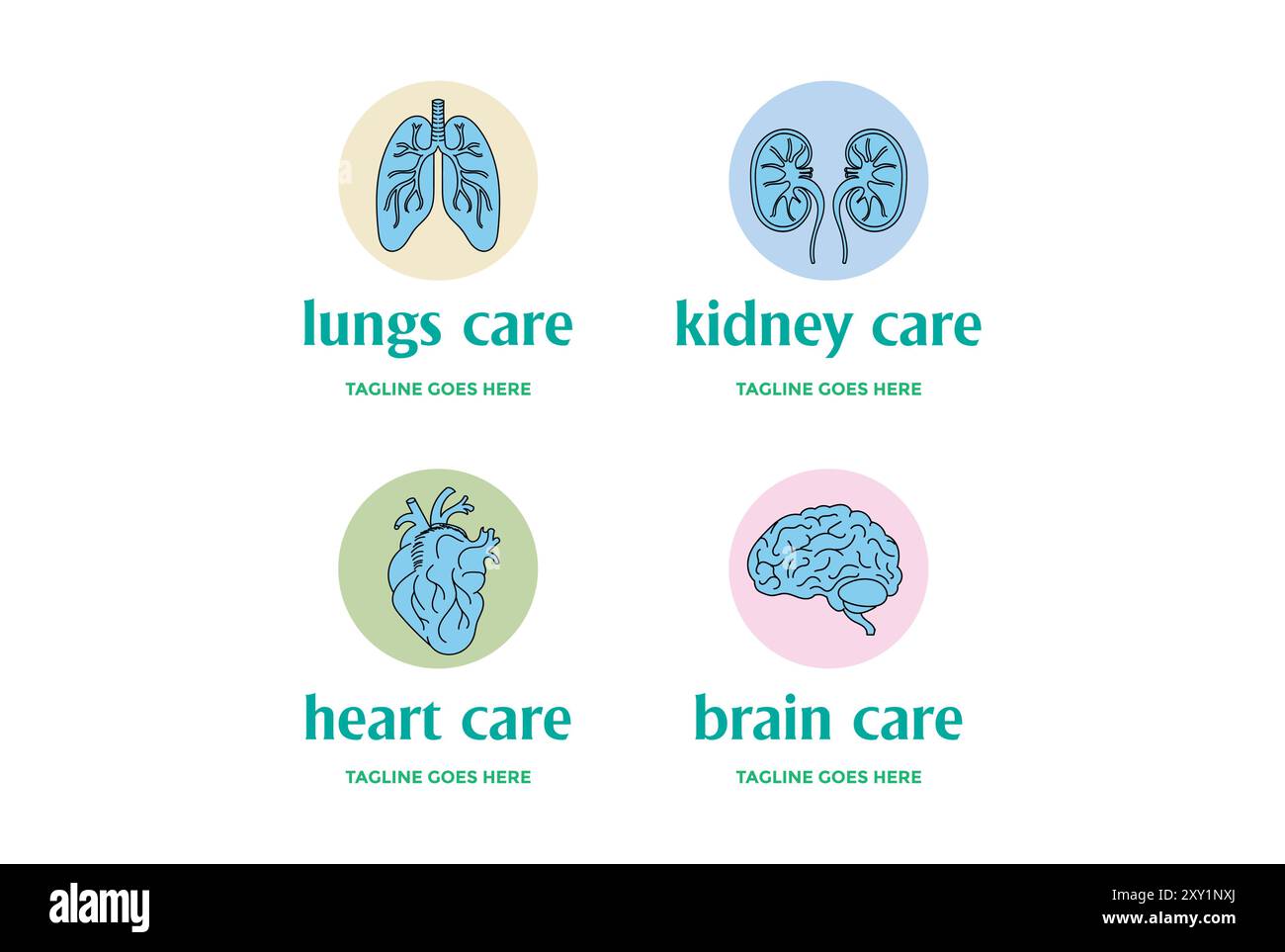 Set of Internal Organ Brain Heart Lung Kidney Care for Doctor Clinic ...