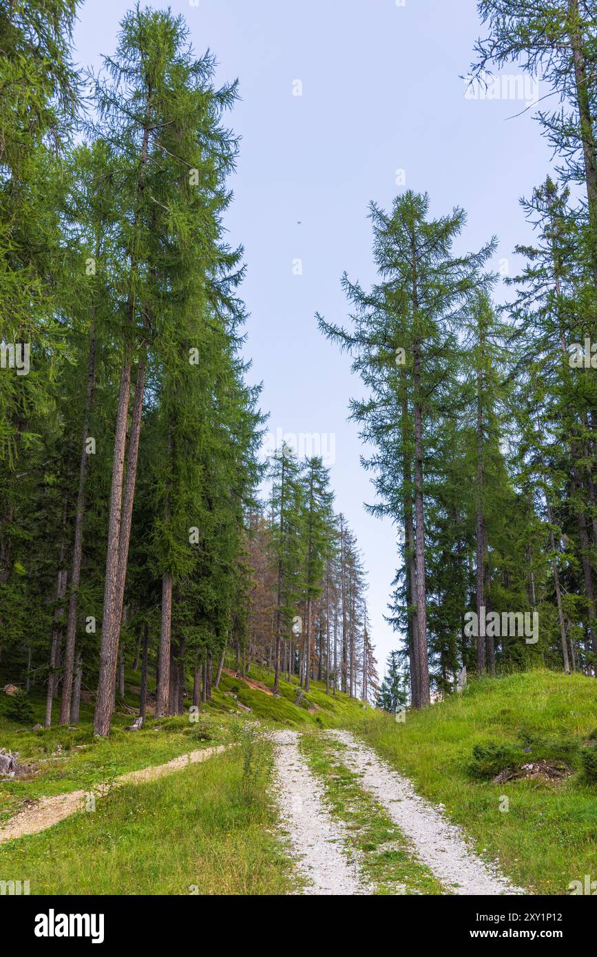 Hiking near La Villa - Val Badia - Alta Badia - Italy Stock Photo - Alamy
