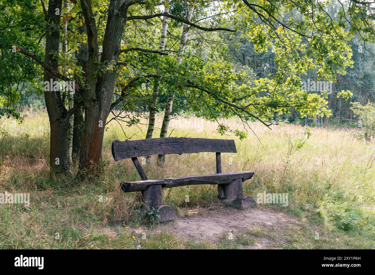 Rustic wooden park bench in a natural hiking area Stock Photo - Alamy