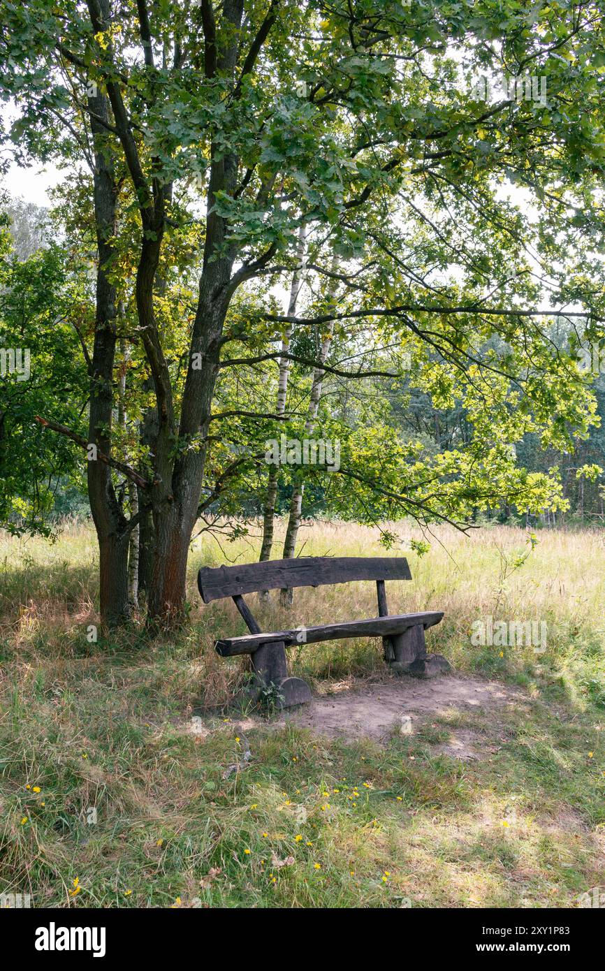 Rustic wooden park bench in a natural hiking area Stock Photo - Alamy