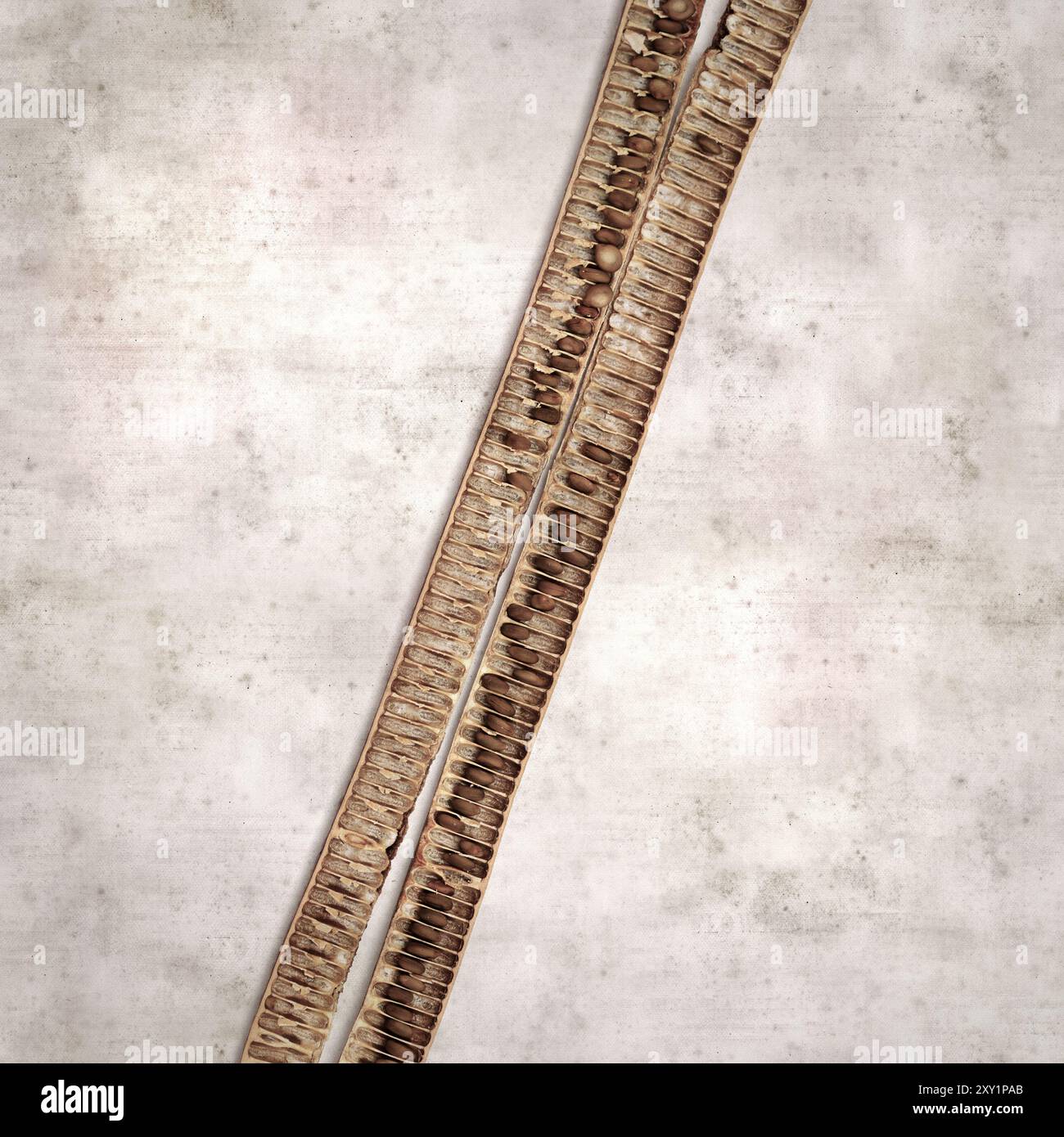 textured stylish old paper background, square Stock Photo - Alamy