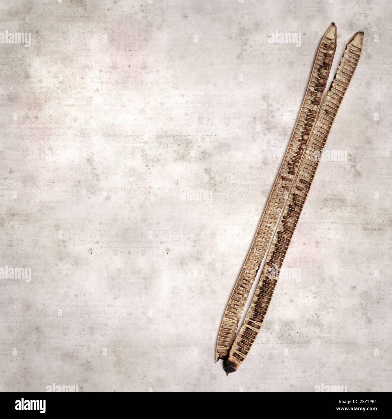 textured stylish old paper background, square Stock Photo - Alamy