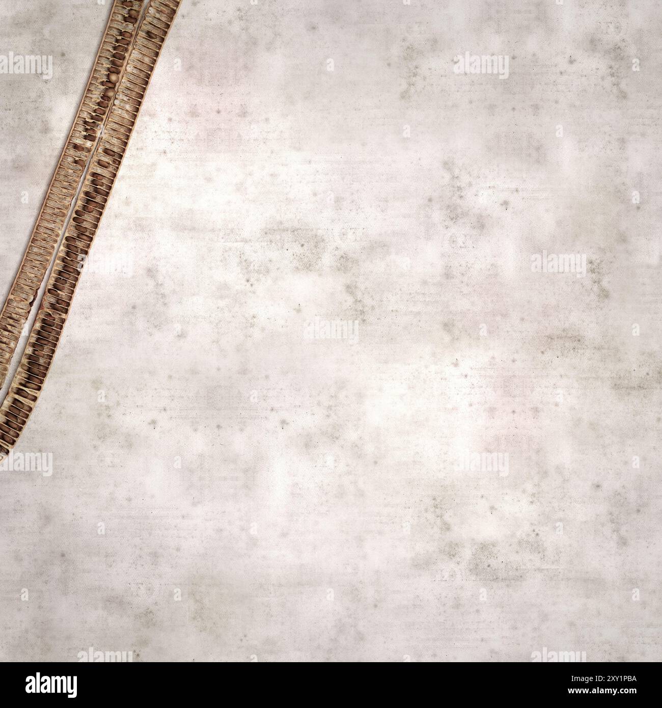 textured stylish old paper background, square Stock Photo - Alamy