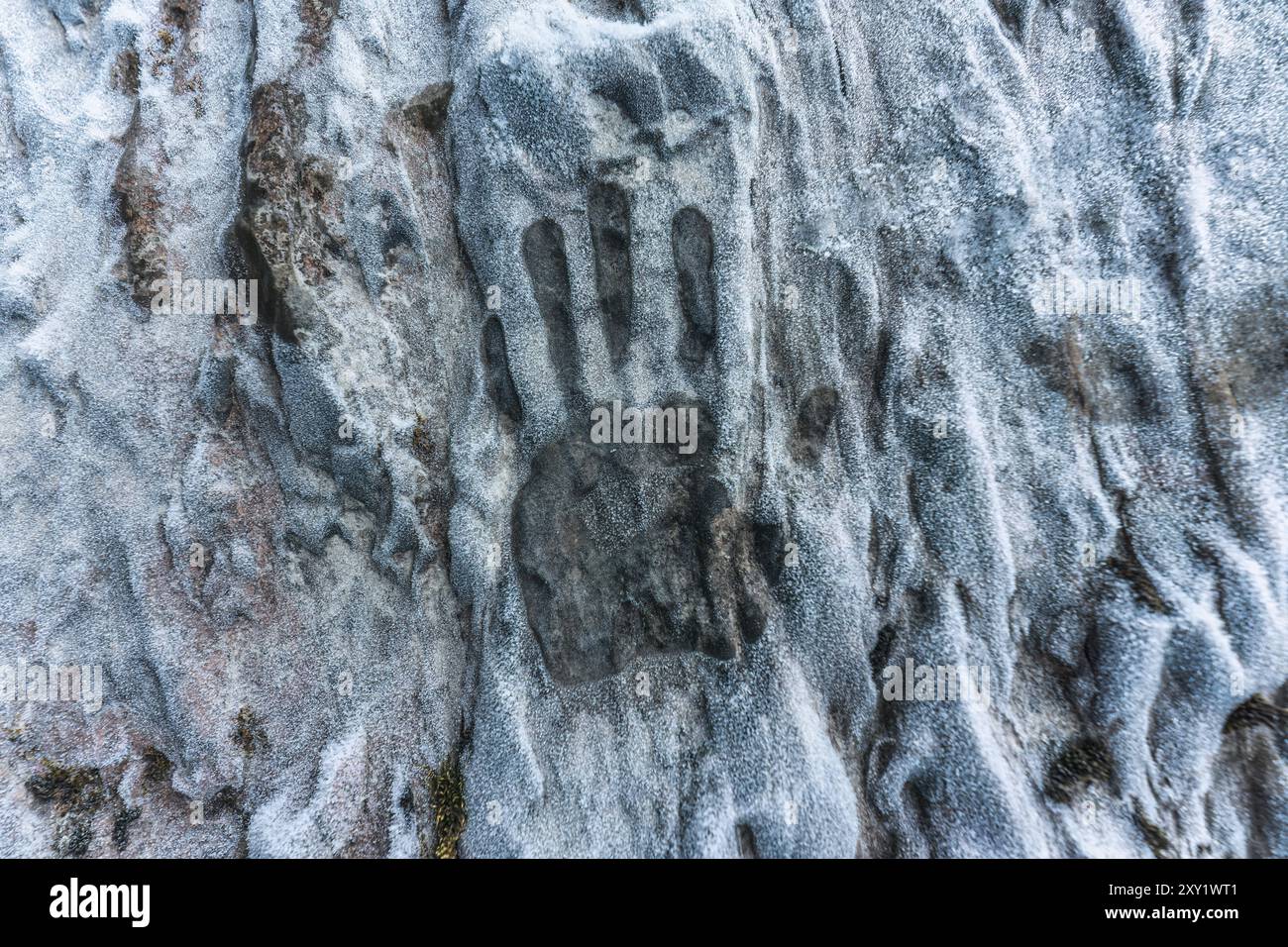 Hand palm print hi-res stock photography and images - Alamy