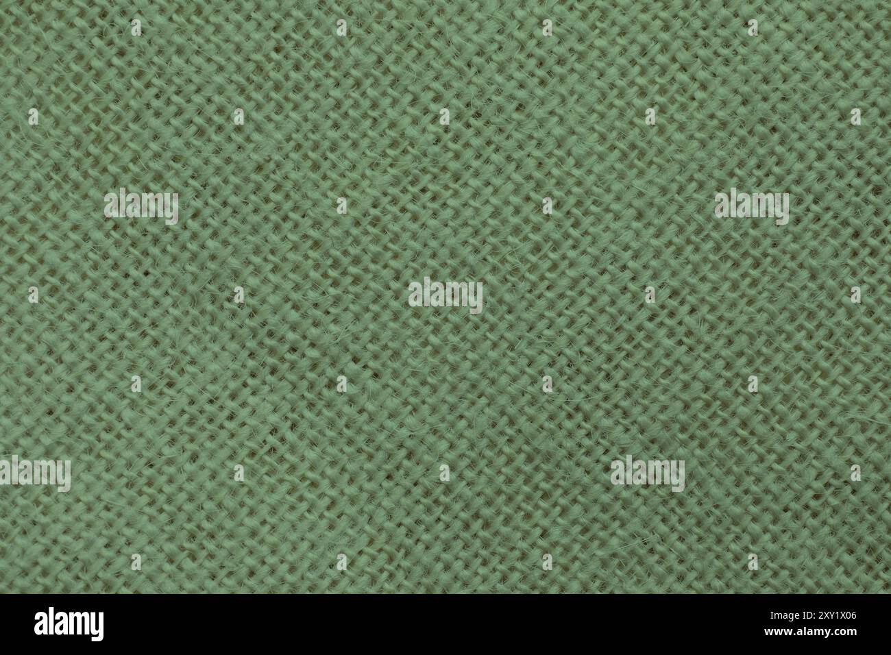 Green sage pastel color texture hi-res stock photography and images - Alamy