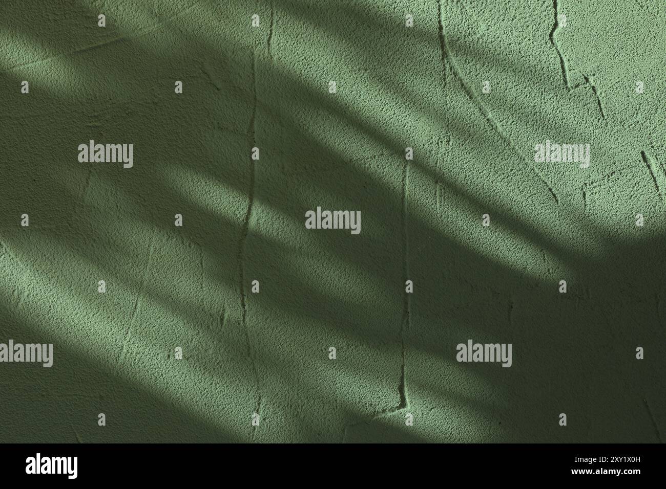 Light and shadows falling on sage color textured wall Stock Photo - Alamy
