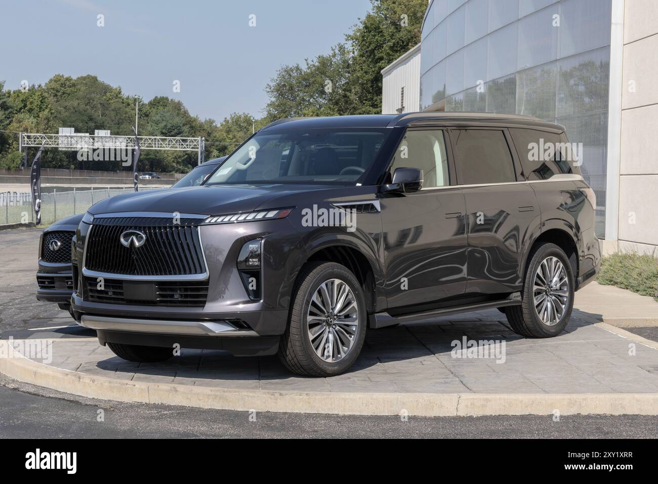 Indianapolis - August 25, 2024: Infiniti QX80 Luxe 4WD display at a ...