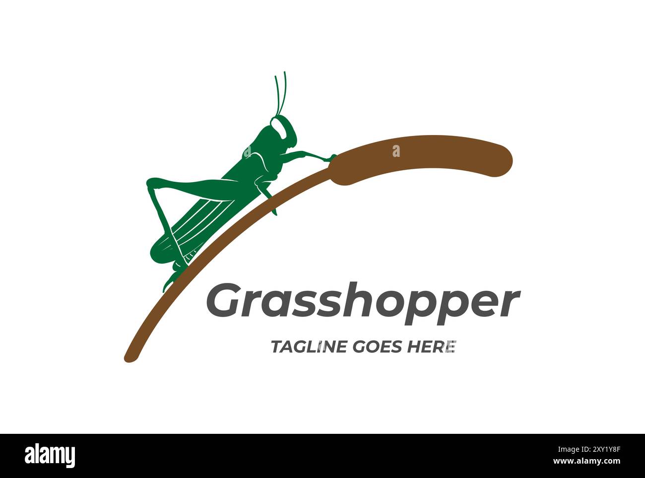 Vintage Insect Grasshopper with Cattail Reed Grass Logo Design Vector ...