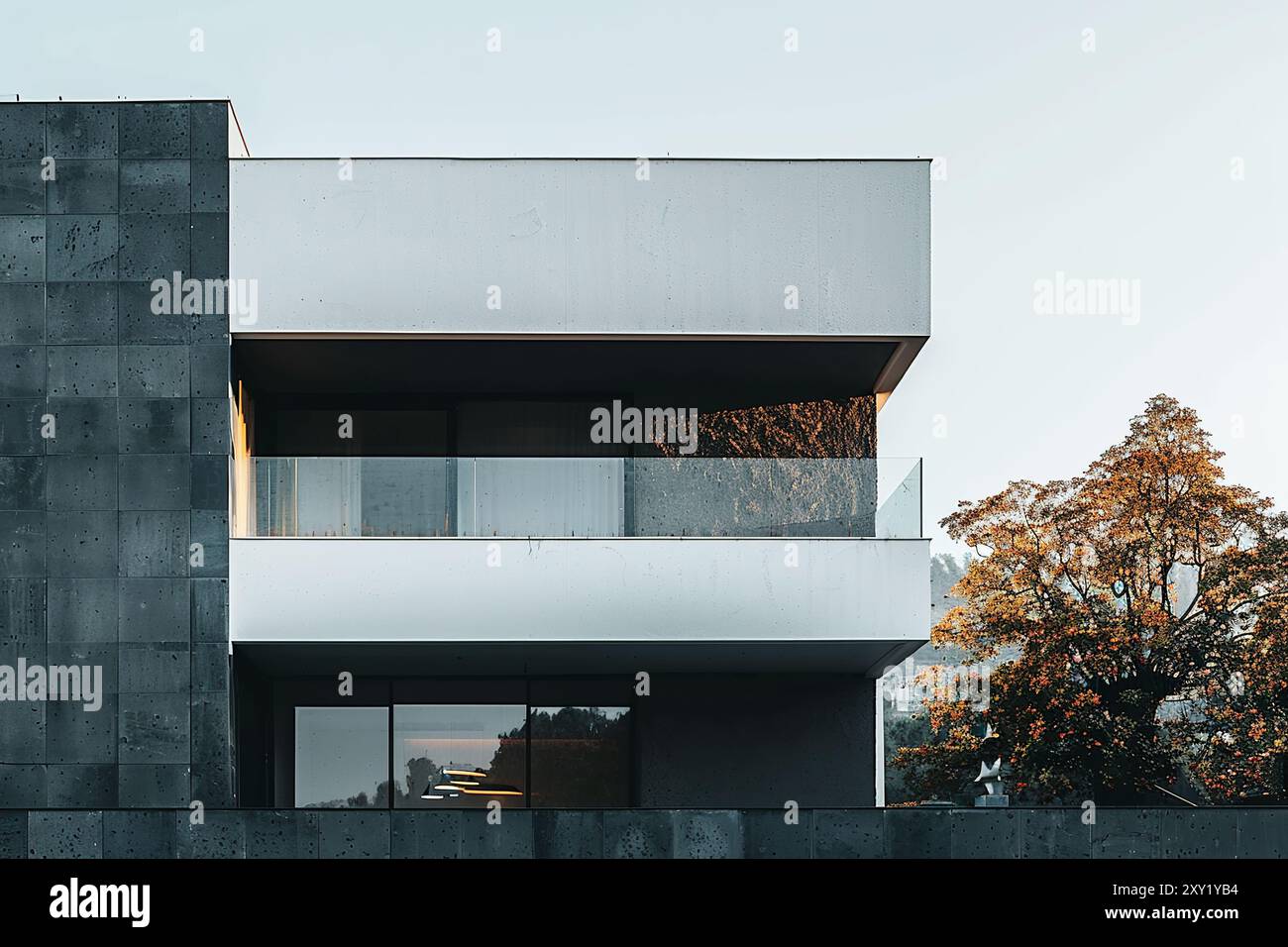 Modern Luxury House With Private Infinity Pool. Minimalist modern white ...