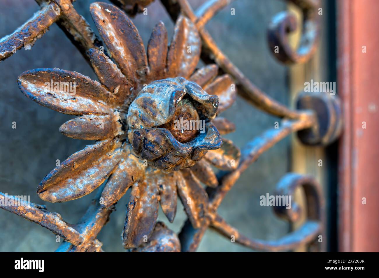 Intricate wrought iron flower design on a vintage gate illuminated by ...