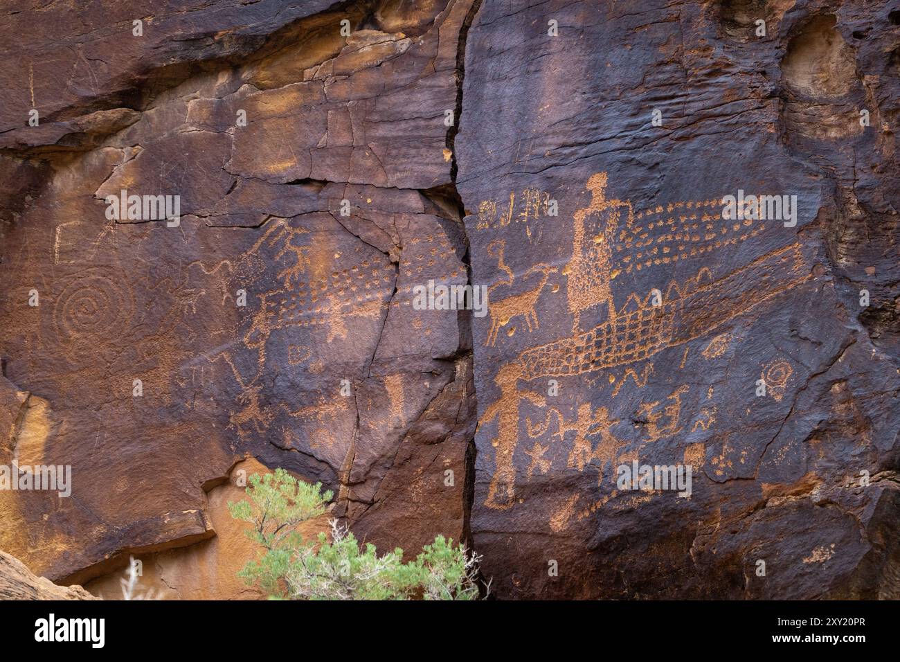 Native american zoomorphic art hi-res stock photography and images - Alamy
