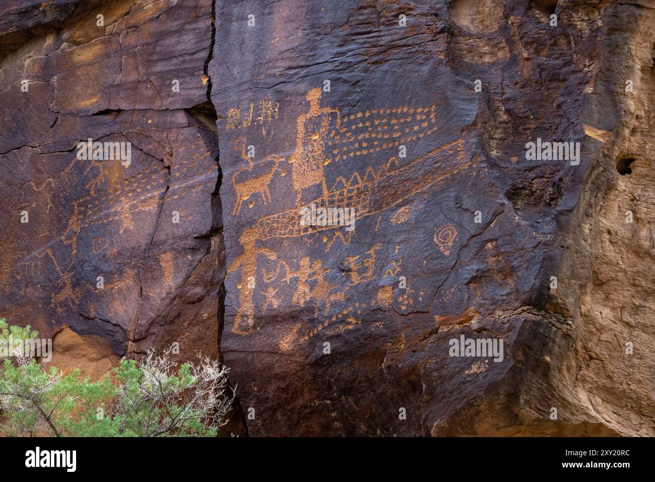 A pre-Hispanic Native American rock art or petroglyph panel in Nine ...