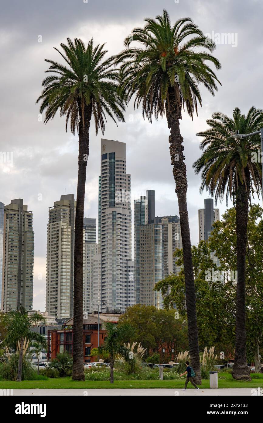 Palm trees frame the Alvear Tower in Puerto Madero, the tallest ...