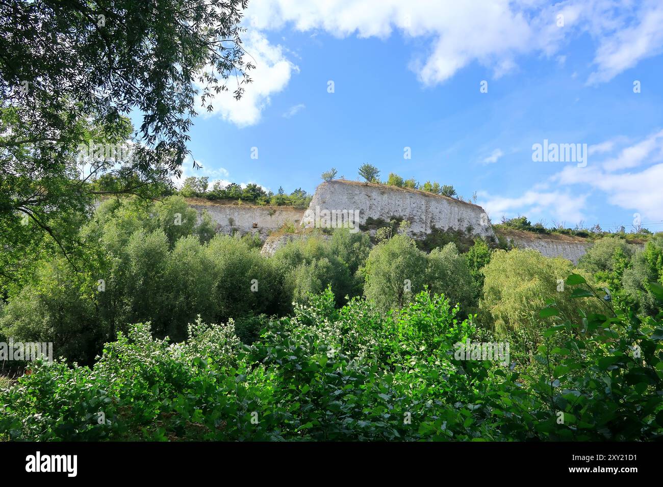Green White and Blue the cliffs and trees at Bluewater in North Kent ...
