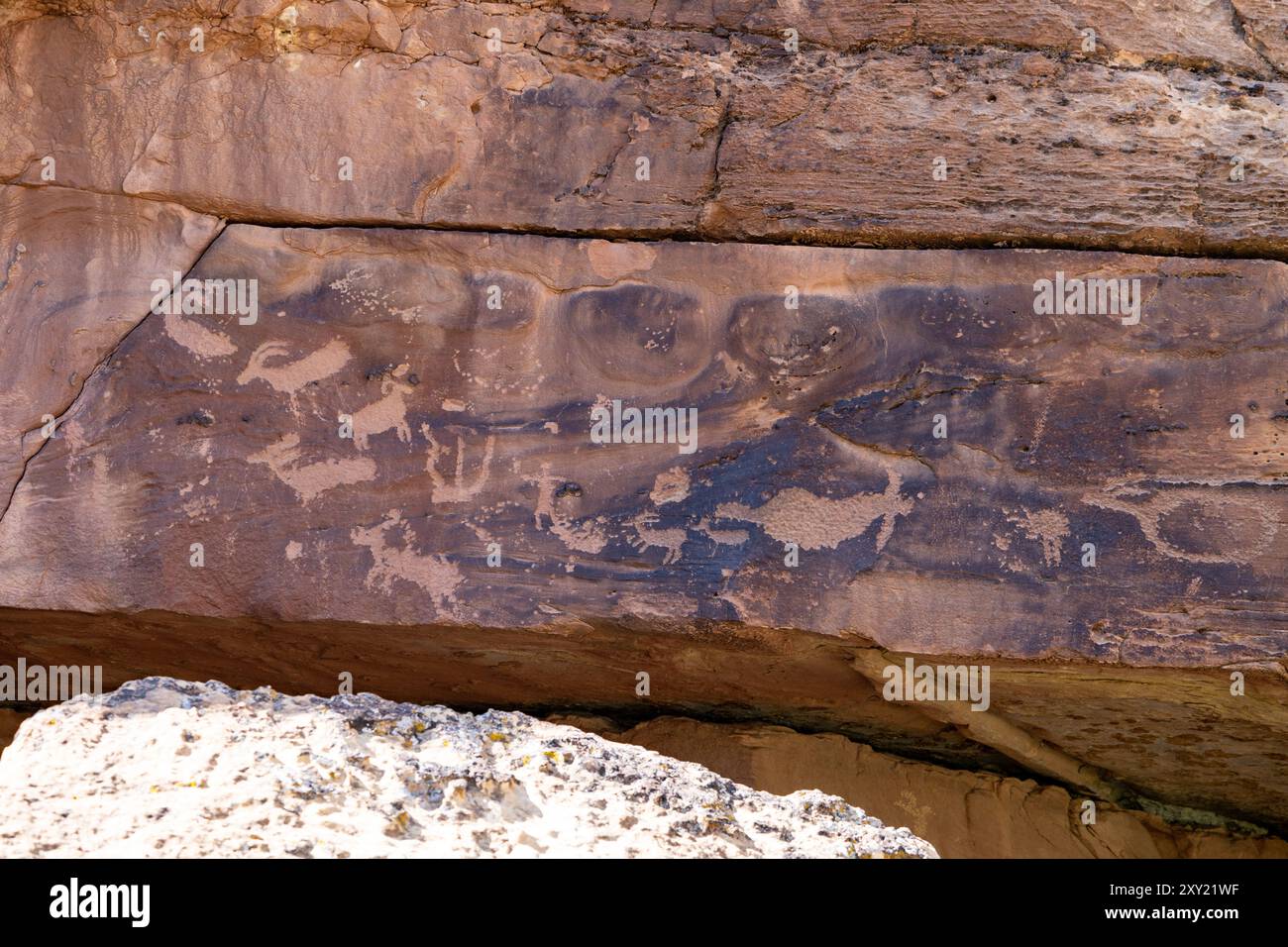A pre-Hispanic Native American rock art or petroglyph panel in Daddy's ...