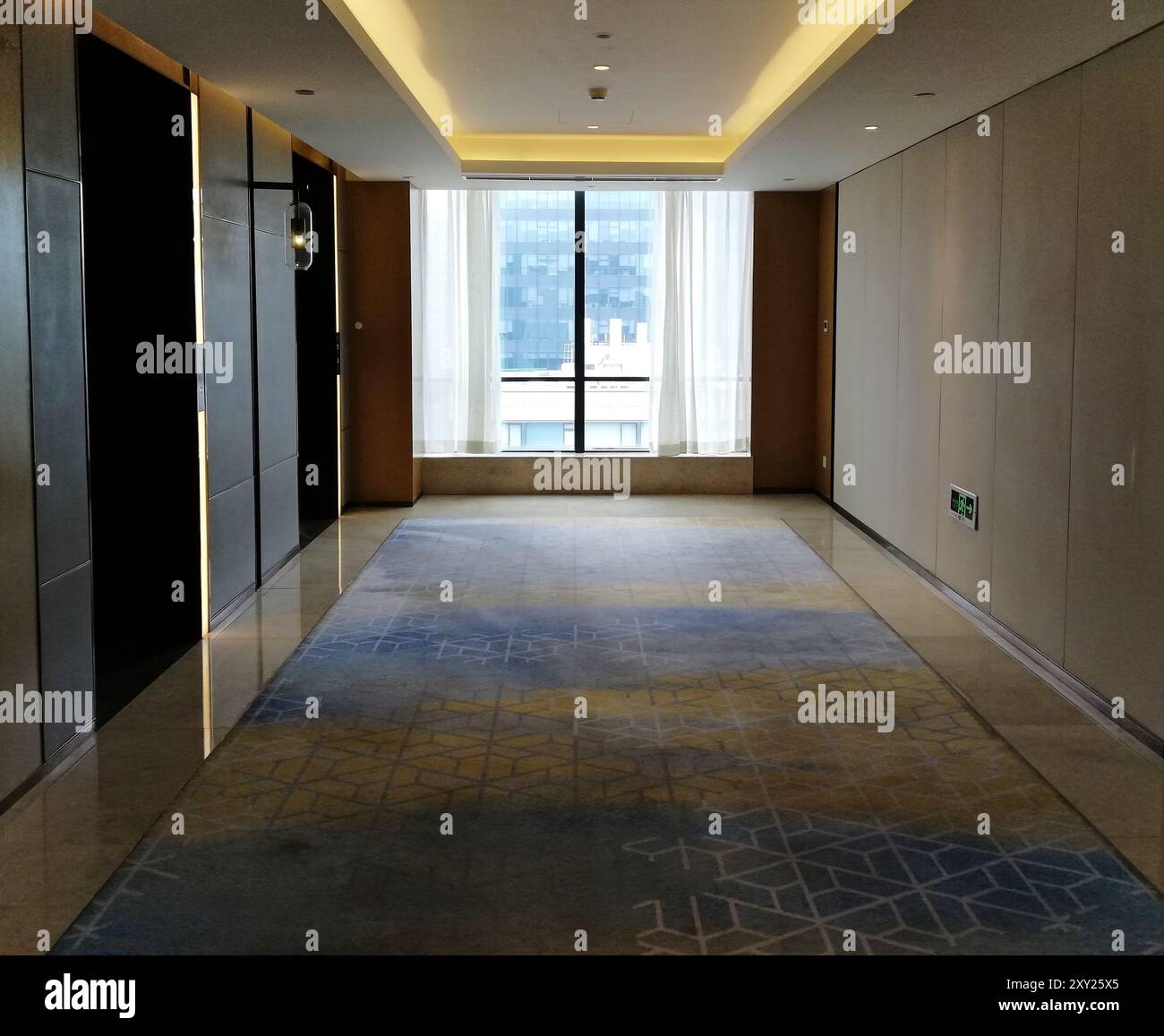 Elevator lobby in a hotel with wall lamp, exit sign, carpeting, ceiling ...