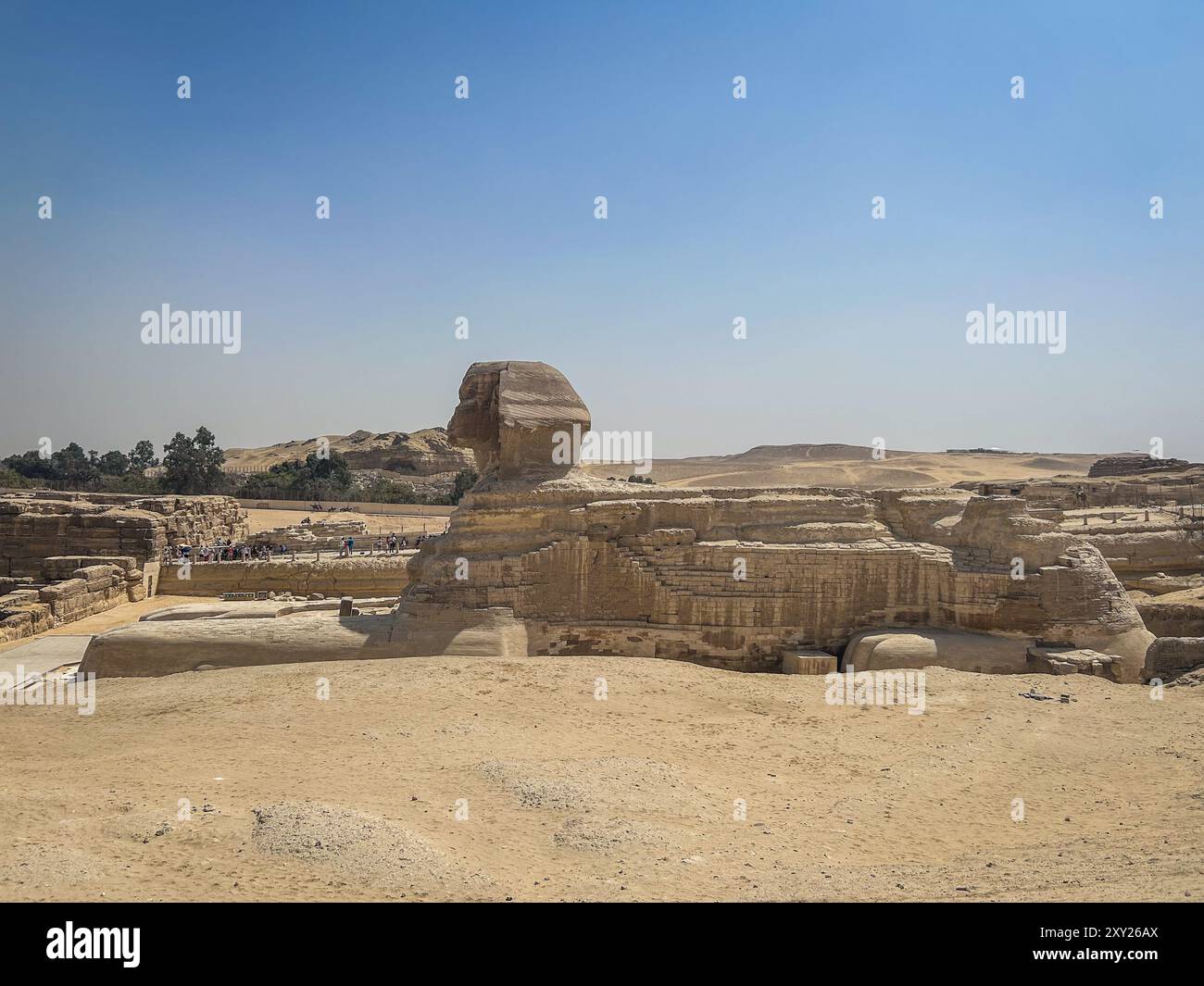 Great Sphinx of Giza, ancient limestone monument with a lion's body and ...