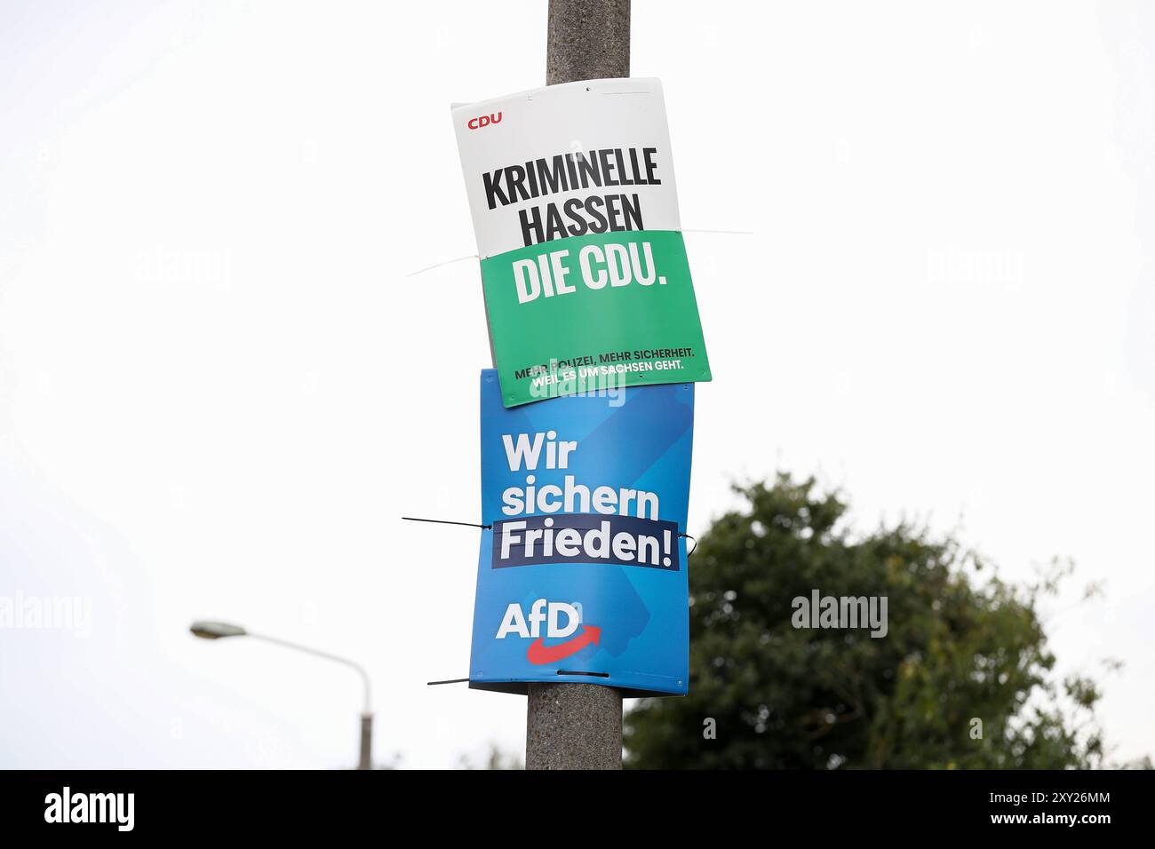 25.08.2024, xtgx, Symbolfotos Wahlkampf zur Landtagswahl 2024 in ...