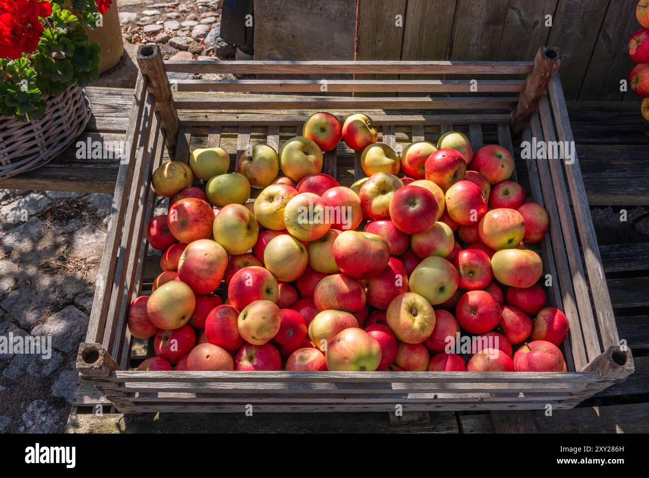 Apple cider fresh fruits hi-res stock photography and images - Alamy