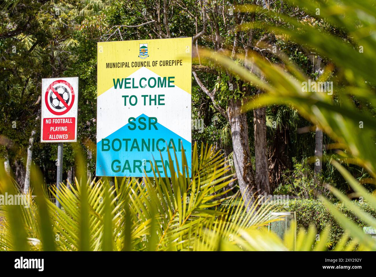 Curepipe Botanic Gardens (or SSR Botanical Garden of Curepipe) in Route ...