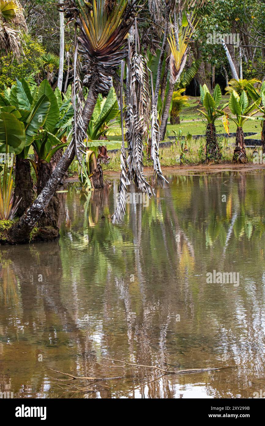 Curepipe Botanic Gardens (or SSR Botanical Garden of Curepipe) in Route ...