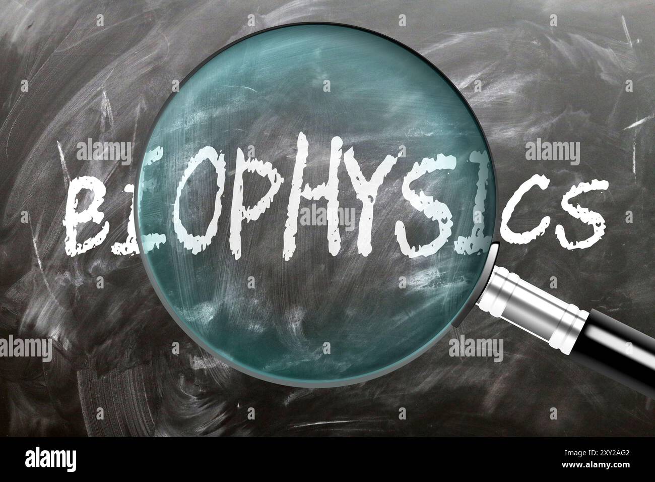 Biophysics learn hi-res stock photography and images - Alamy
